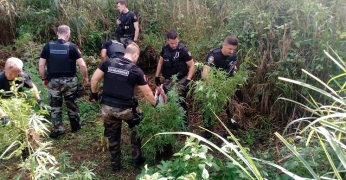 Nouvelle-Calédonie : les gendarmes mobiles en renfort des unités ...